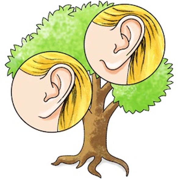 Follow Family Traits With An Easy Tree Scientific American follow-family-traits-with-an-easy-tree-scientific-american