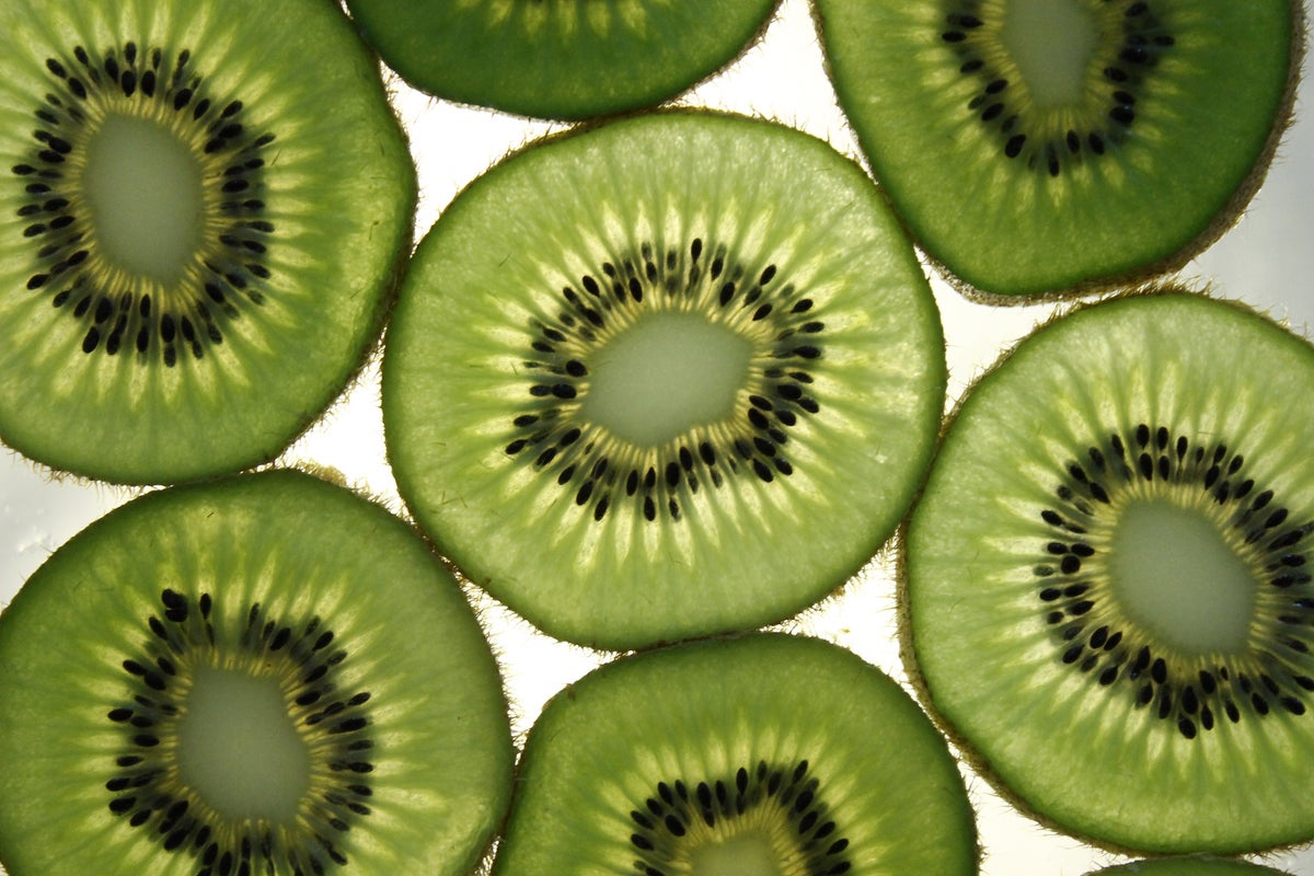 Food for Thought: Do We Owe Our Large Primate Brains to a Passion for ...