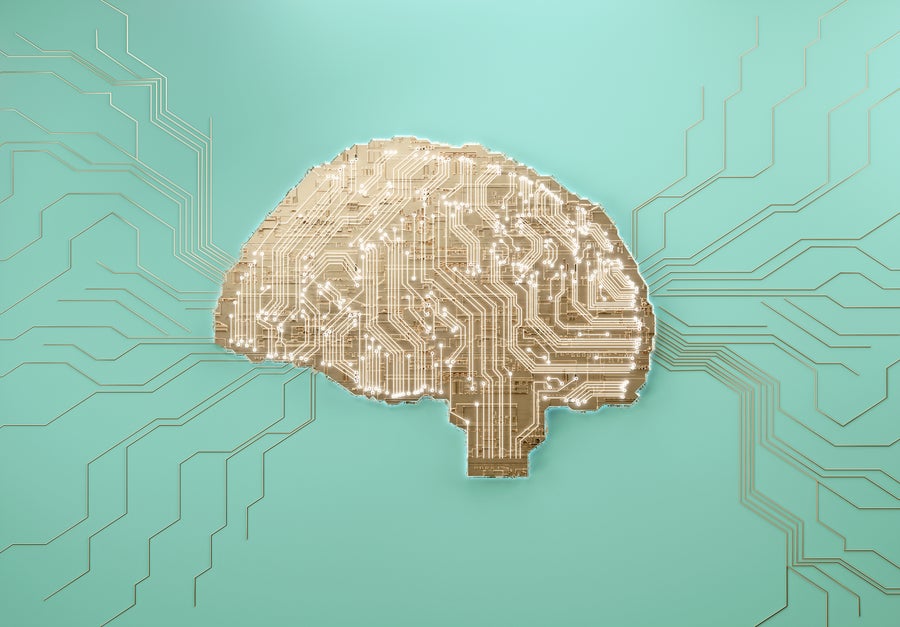 The Fading Dream of the Computer Brain | Scientific American