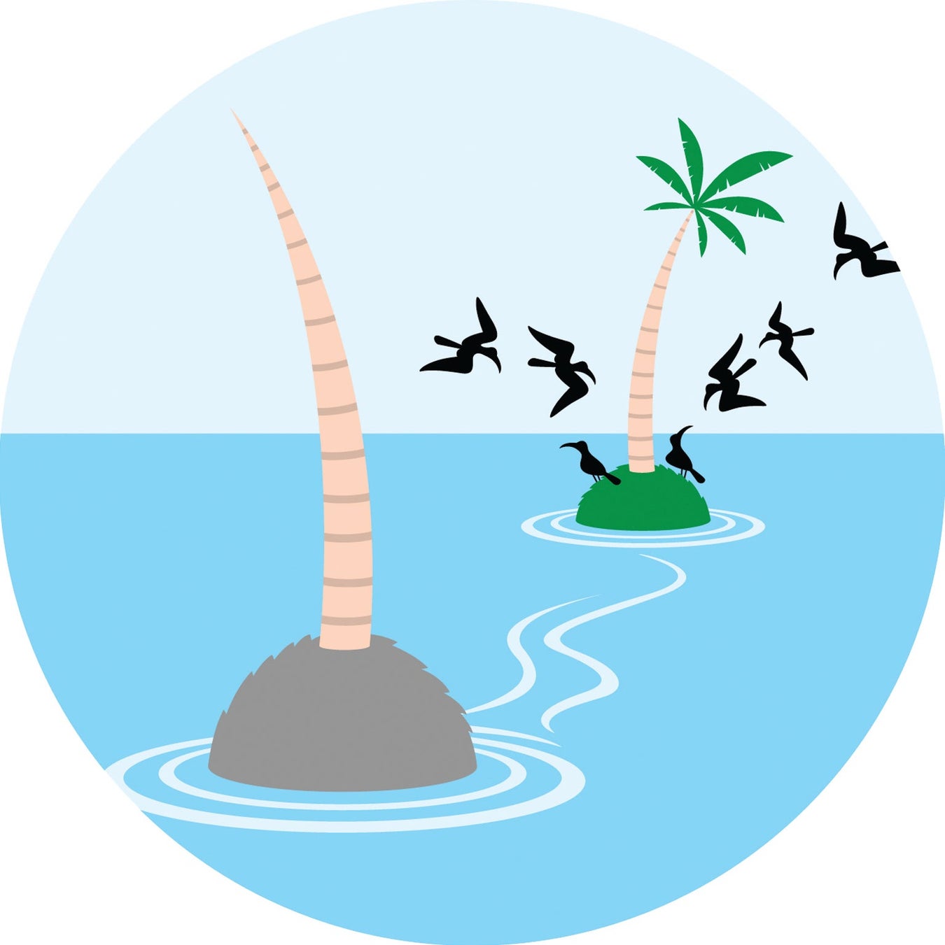 De-Ratting Rat Island Brought Silent Ecosystem Back to Life ...