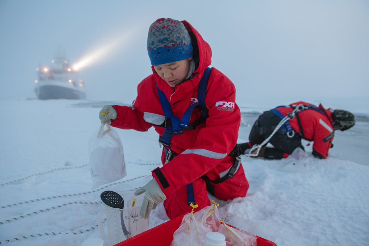 Frozen in Dwindling Ice, a Historic Expedition Finds a "New Arctic ...
