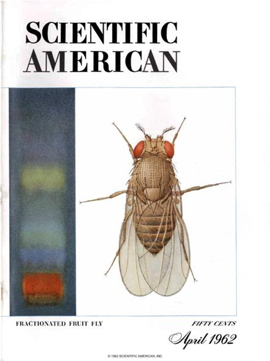 Fractionating the Fruit Fly | Scientific American
