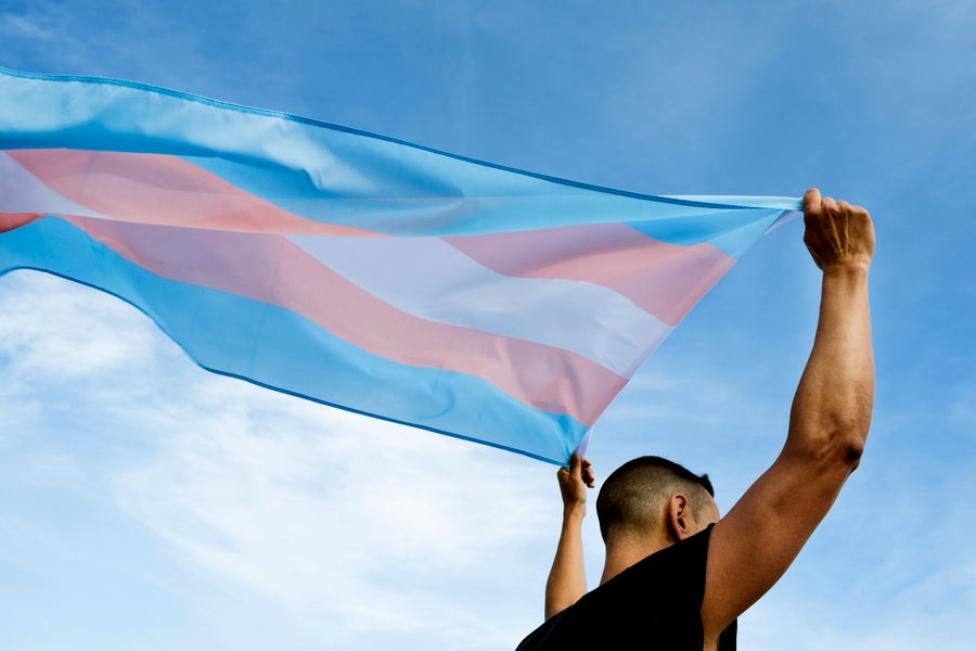 Is There Something Unique about the Transgender Brain? | Scientific ...