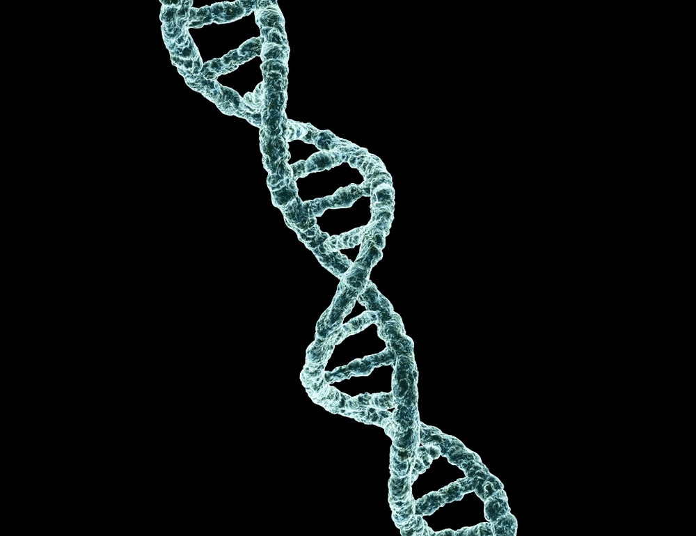 "Punch Card" DNA Could Mean Cheaper High-Capacity Data Storage ...