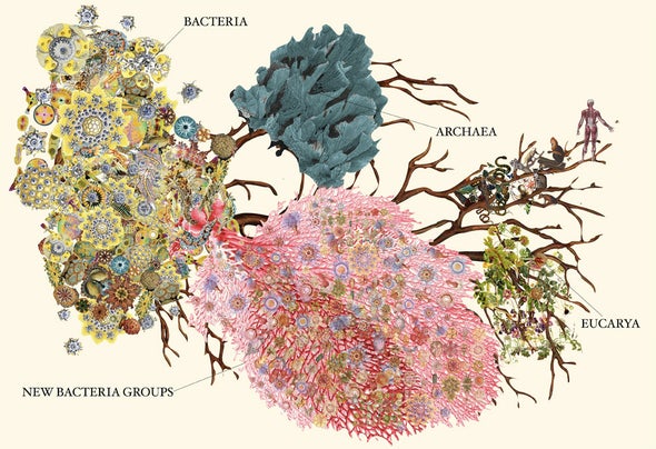 Giant Burst of Tiny Organisms Discovered on Tree of Life - Scientific ...