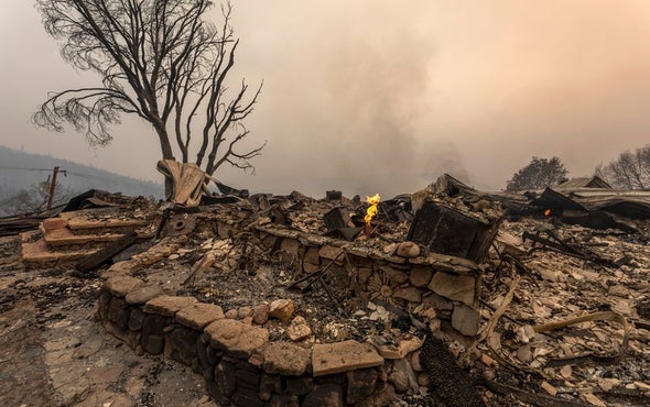 Sustainability - Scientific American