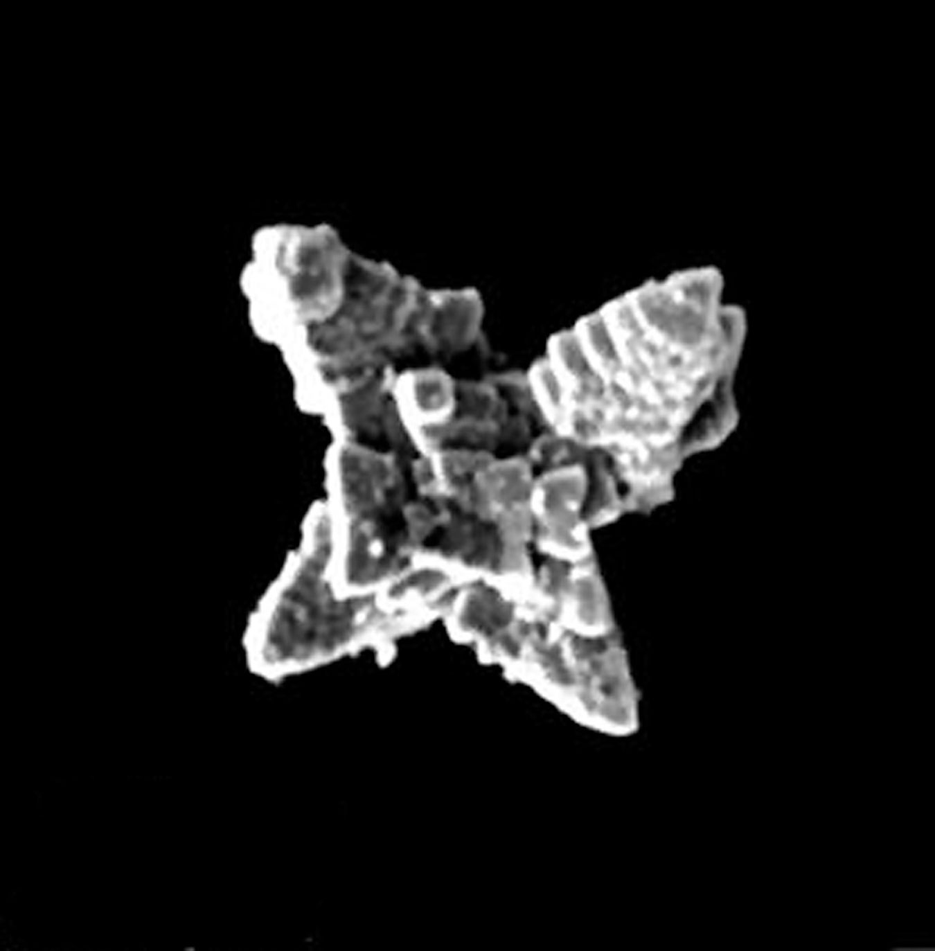 Tiny Robots Could Clean Up Microplastic Pollution | Scientific American