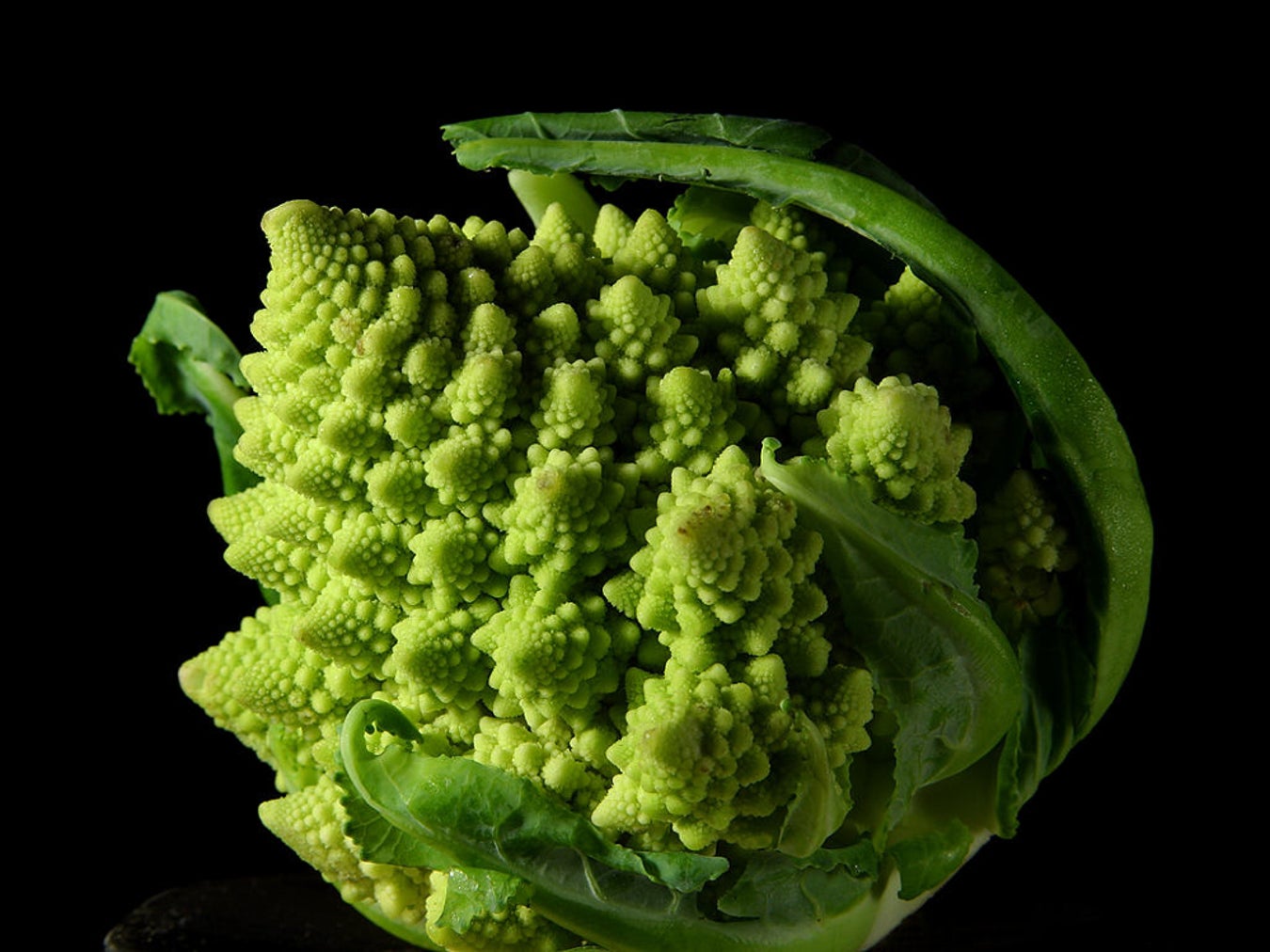 Fractals in broccoli | Scientific American