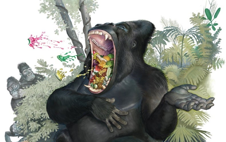 Gorillas Hum and Sing While They Eat to Say, "Do Not Disturb ...