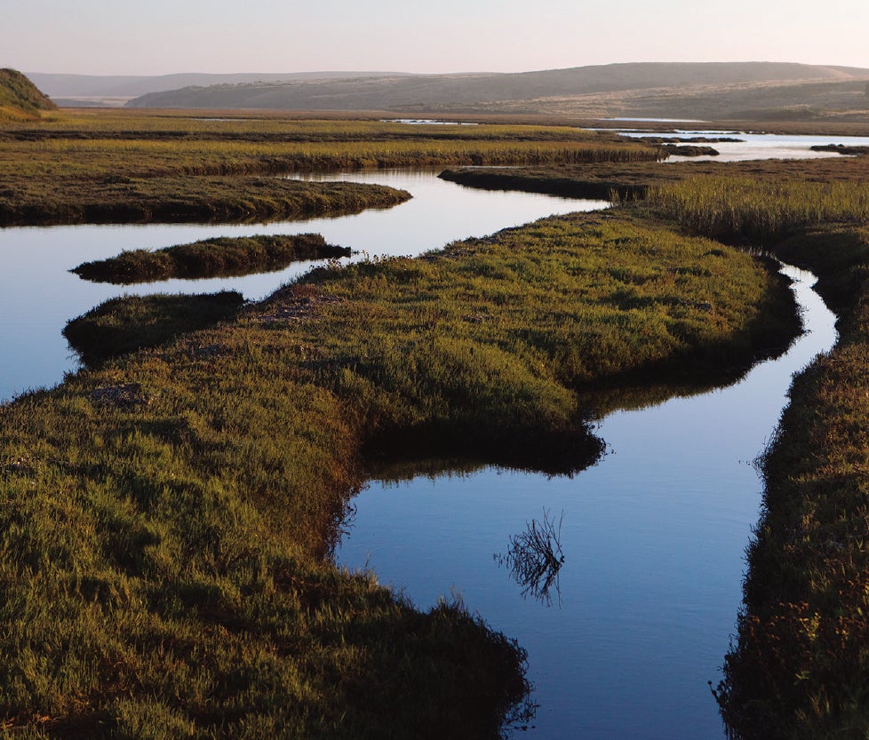 Estuaries