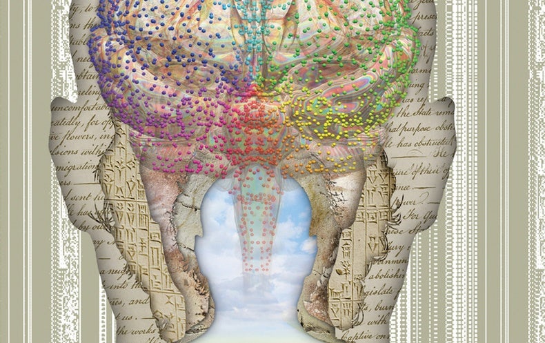 Lessons from Making Brain Soup - Scientific American