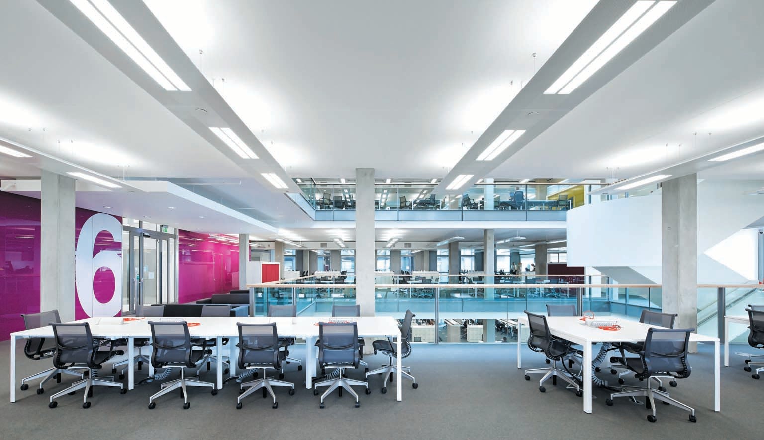 Fixing the Hated Open-Design Office | Scientific American