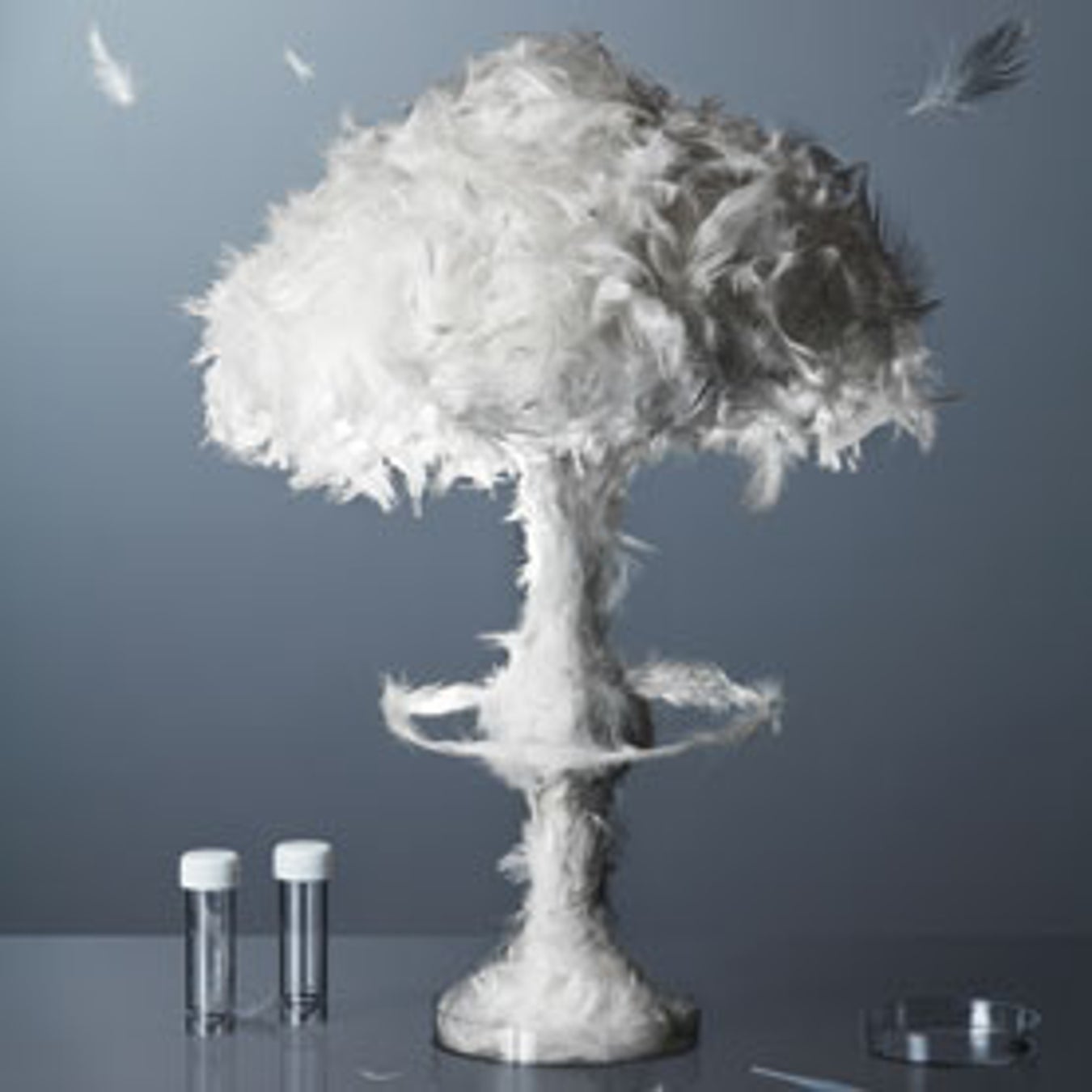 Is Bird Flu Waiting to Explode? | Scientific American