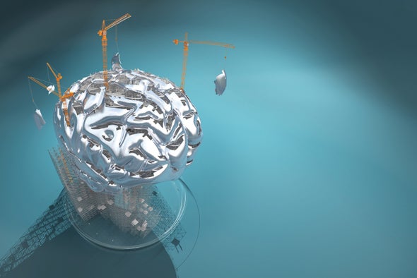 Building a Brain in the Lab - Scientific American