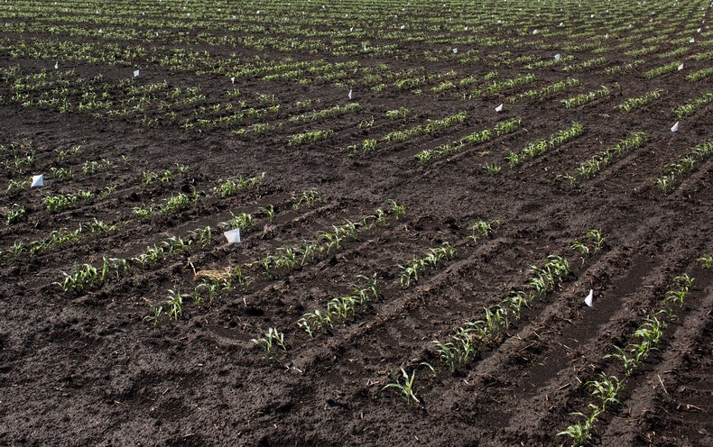 How Dirt Can Clean the Air - Scientific American