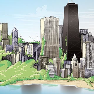 Chicago's Plans to Go Green - Scientific American