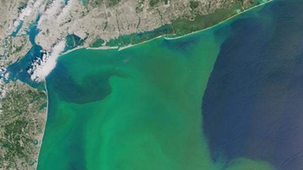 Stronger Storms Could Flood Fish with Pollution - Scientific American