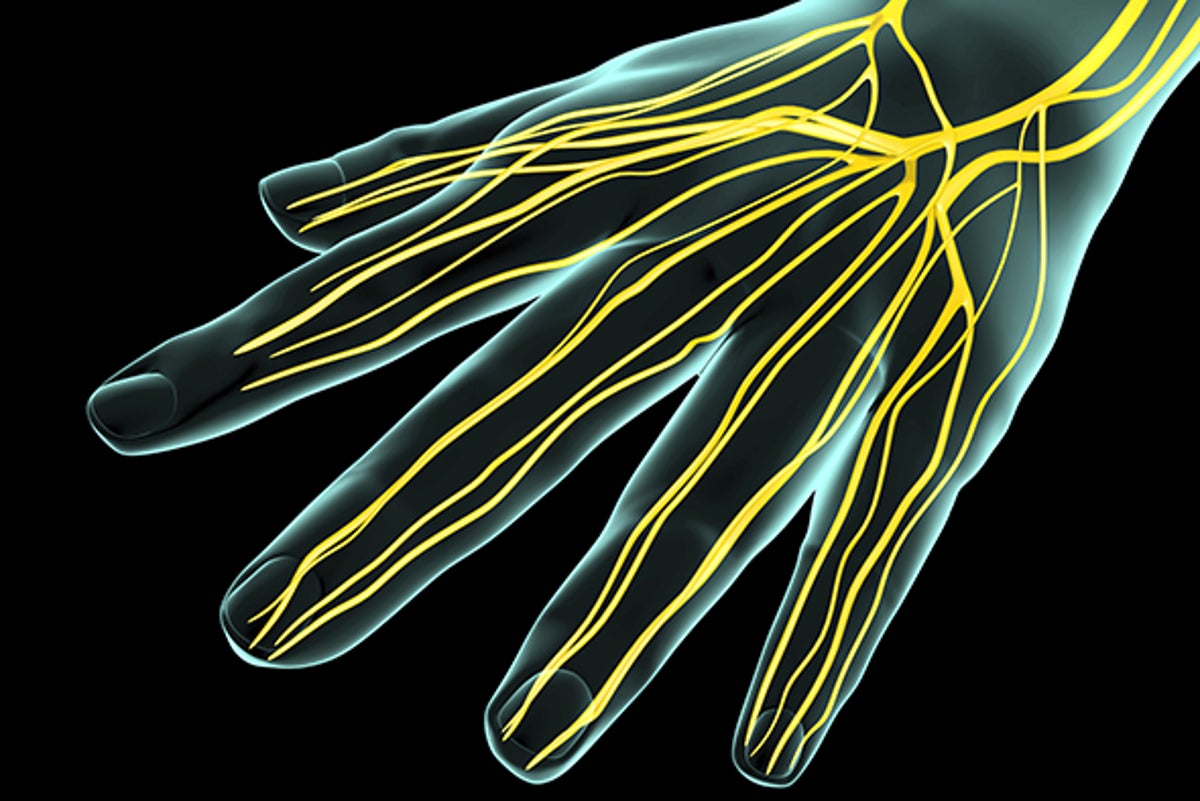 Nerve Cells That Go Out on a Limb Show How the Ability to Tweet Evolved ...