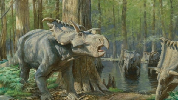 Excavations Reveal a Surprising Mix of Dinosaurs from Lost Continent ...