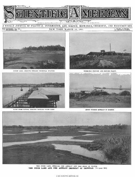 Experiments with Animal Tissue | Scientific American