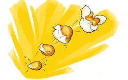 Explore The POP In Popcorn Scientific American