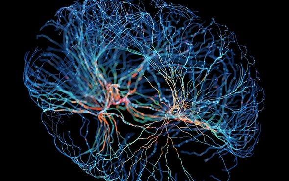 Mind & Brain News and Research - Scientific American