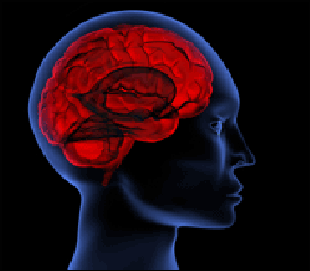 How the 'Plastic' Brain Rewires Itself - Scientific American