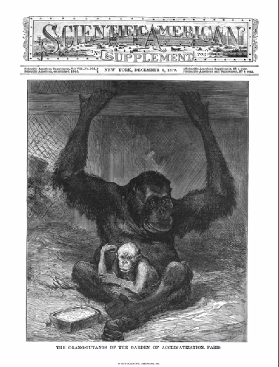 Issue Archive - 1879 | Scientific American