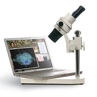 Web Science: Studying the Internet to Protect Our Future - Scientific ...