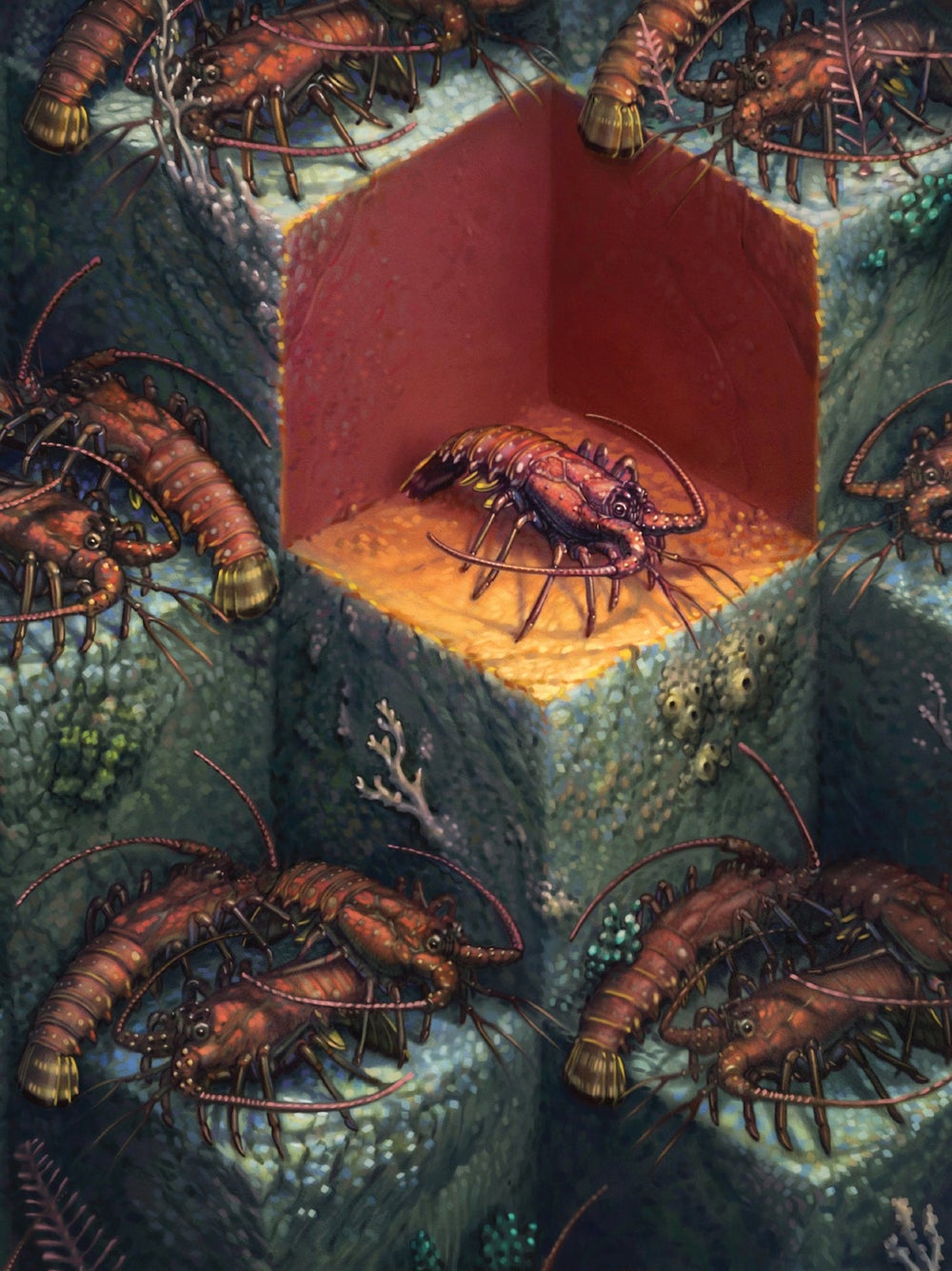 Animals Use Social Distancing to Avoid Disease | Scientific American