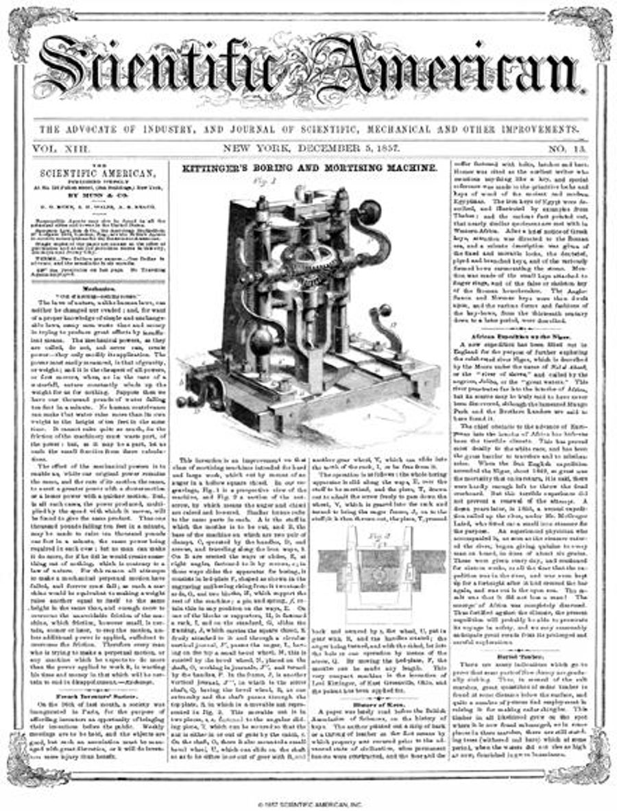 Phosphorescent Animals | Scientific American