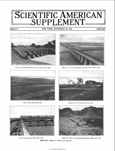 Care of Exceptionally Bright Children | Scientific American