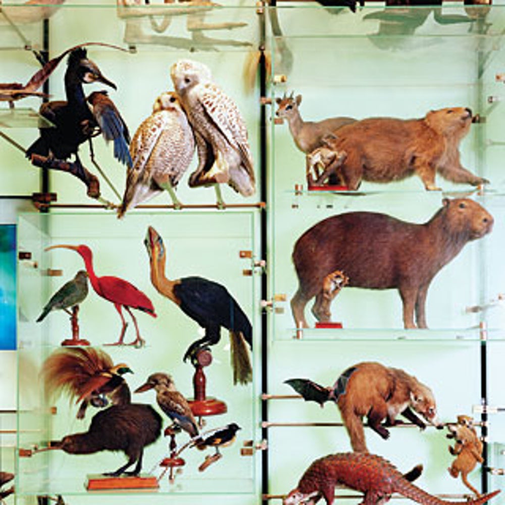 Testing Natural Selection with Genetics | Scientific American