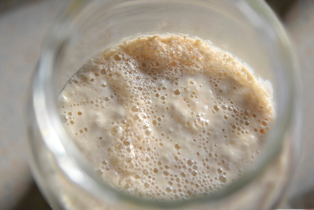 The Science of Sourdough: How Microbes Enabled a Pandemic Pastime ...