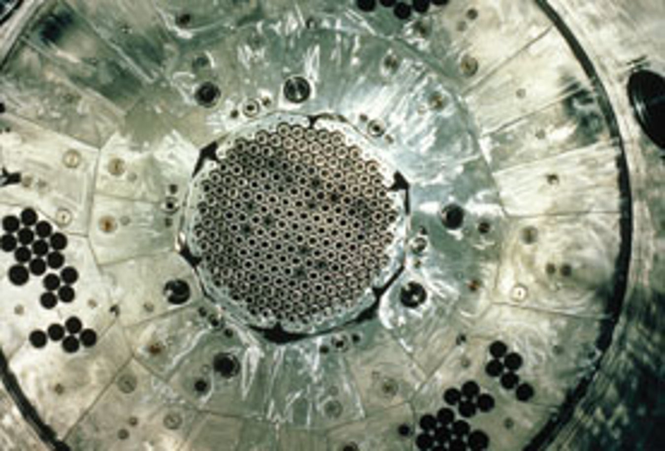 Ridding the World of the | Scientific American