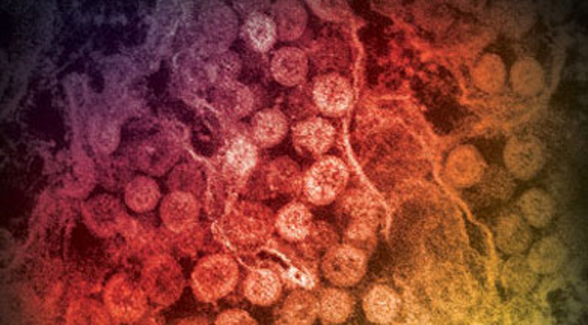 Tracing the Path of South Korea's MERS "Patient Zero" | Scientific American