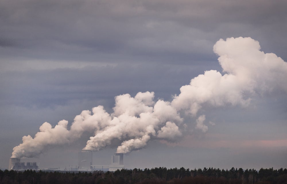 What Dead Birds Tell Us about Climate Change | Scientific American