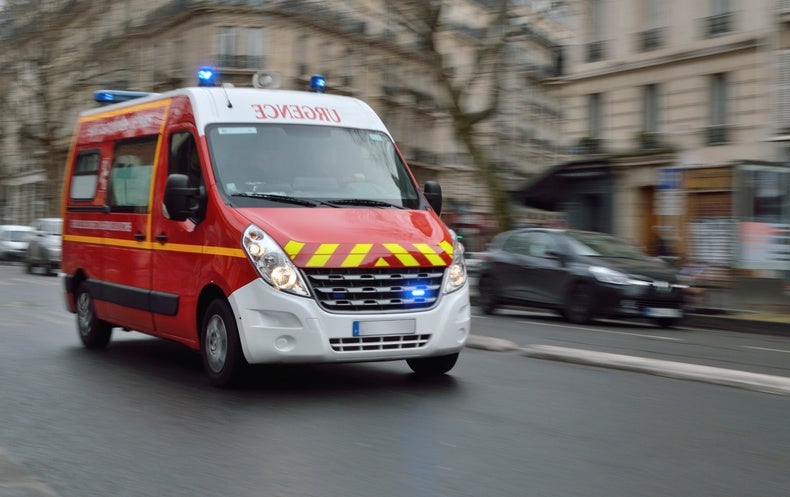 Pig Experiment Challenges Assumptions around Brain Damage in People ...