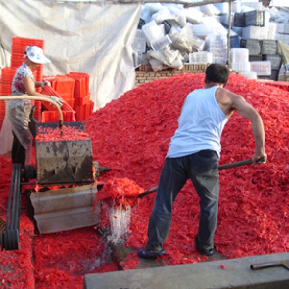 How Beijing--and the Rest of China--Recycles Plastic [Excerpt ...