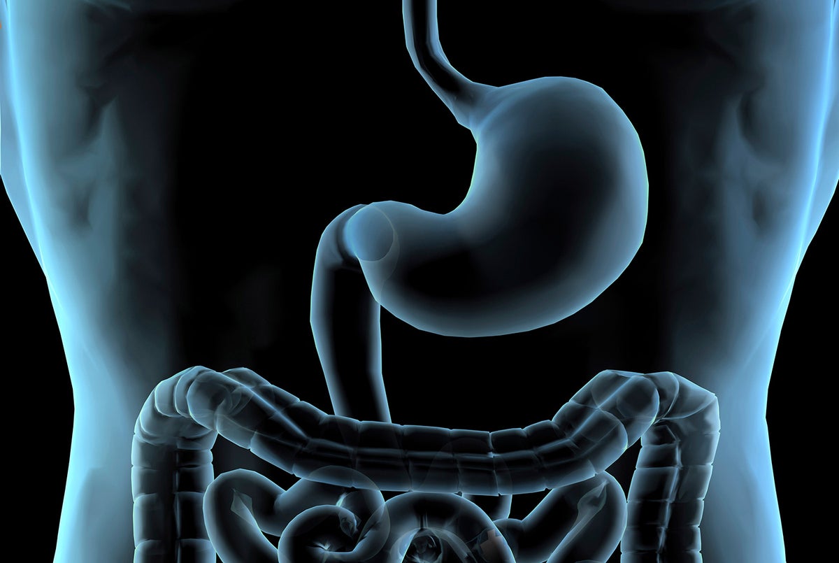 Stomach-Purging Weight-Loss Device Draws Backlash against FDA Approval ...