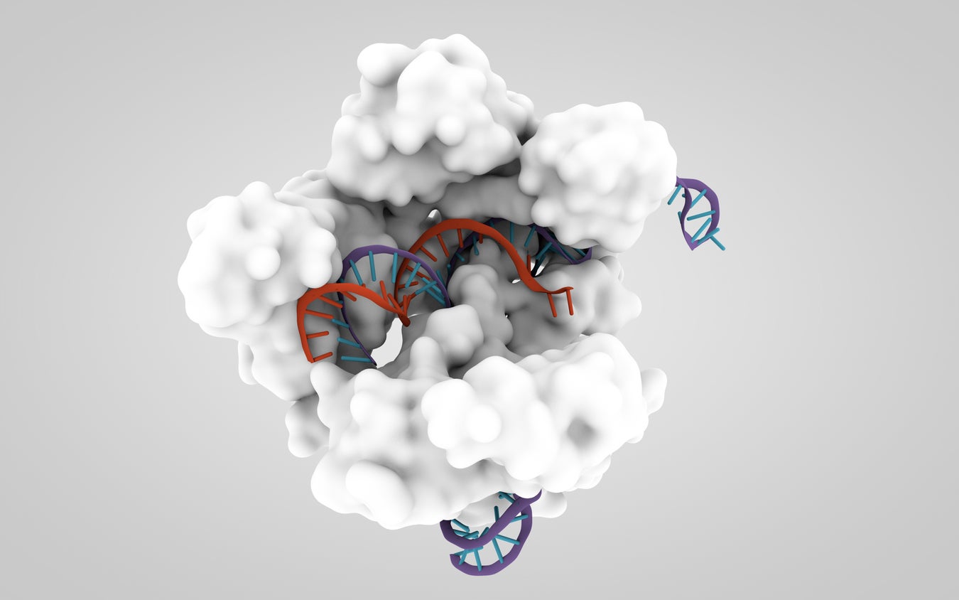Beyond CRISPR: A Guide to the Many Ways to Edit a Genome | Scientific ...