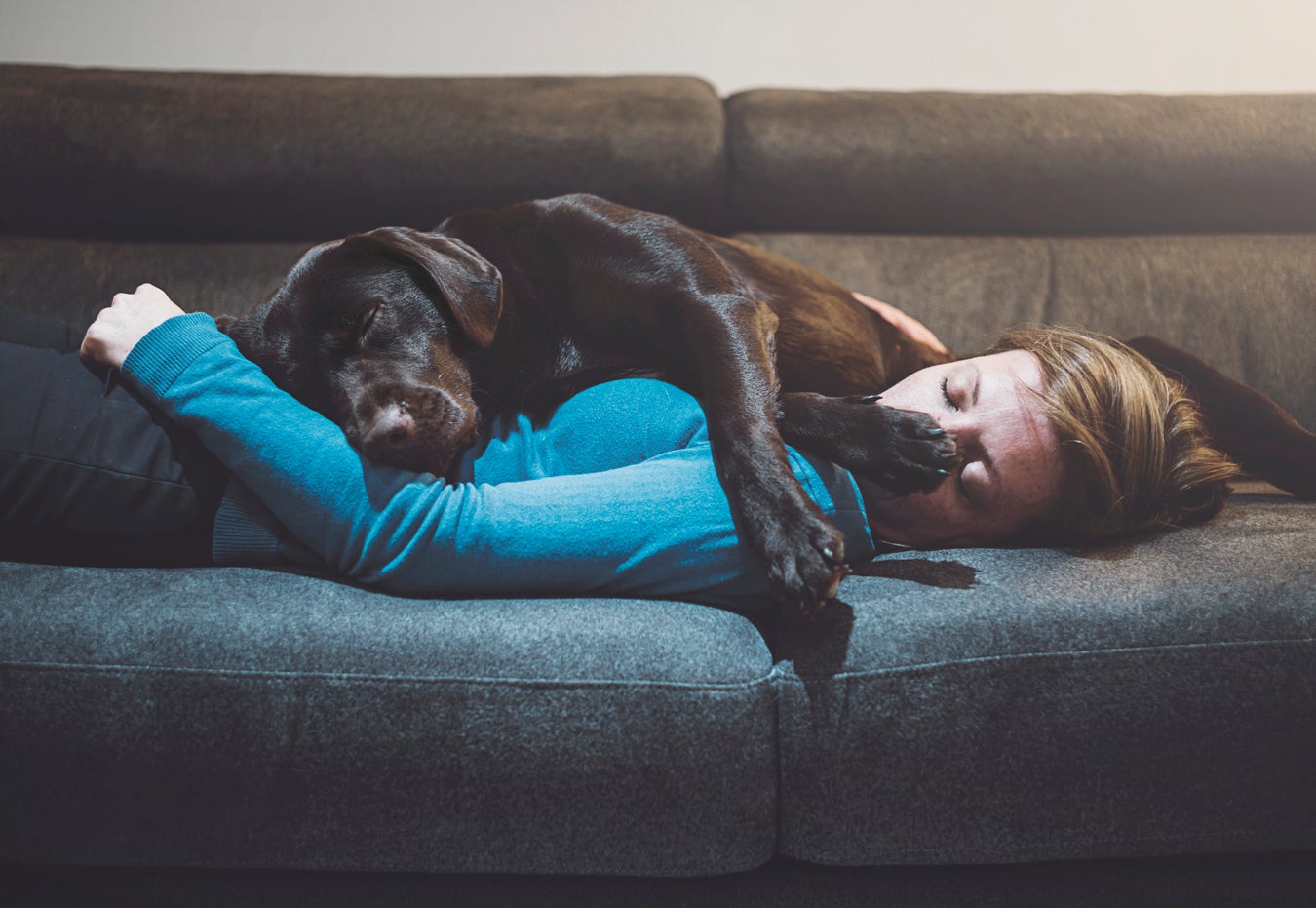 Stress Management Helped Wolves Become Dogs | Scientific American