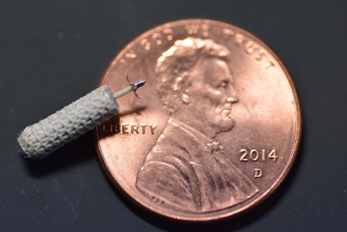 Clearing the Way for Leadless Pacemakers | Scientific American
