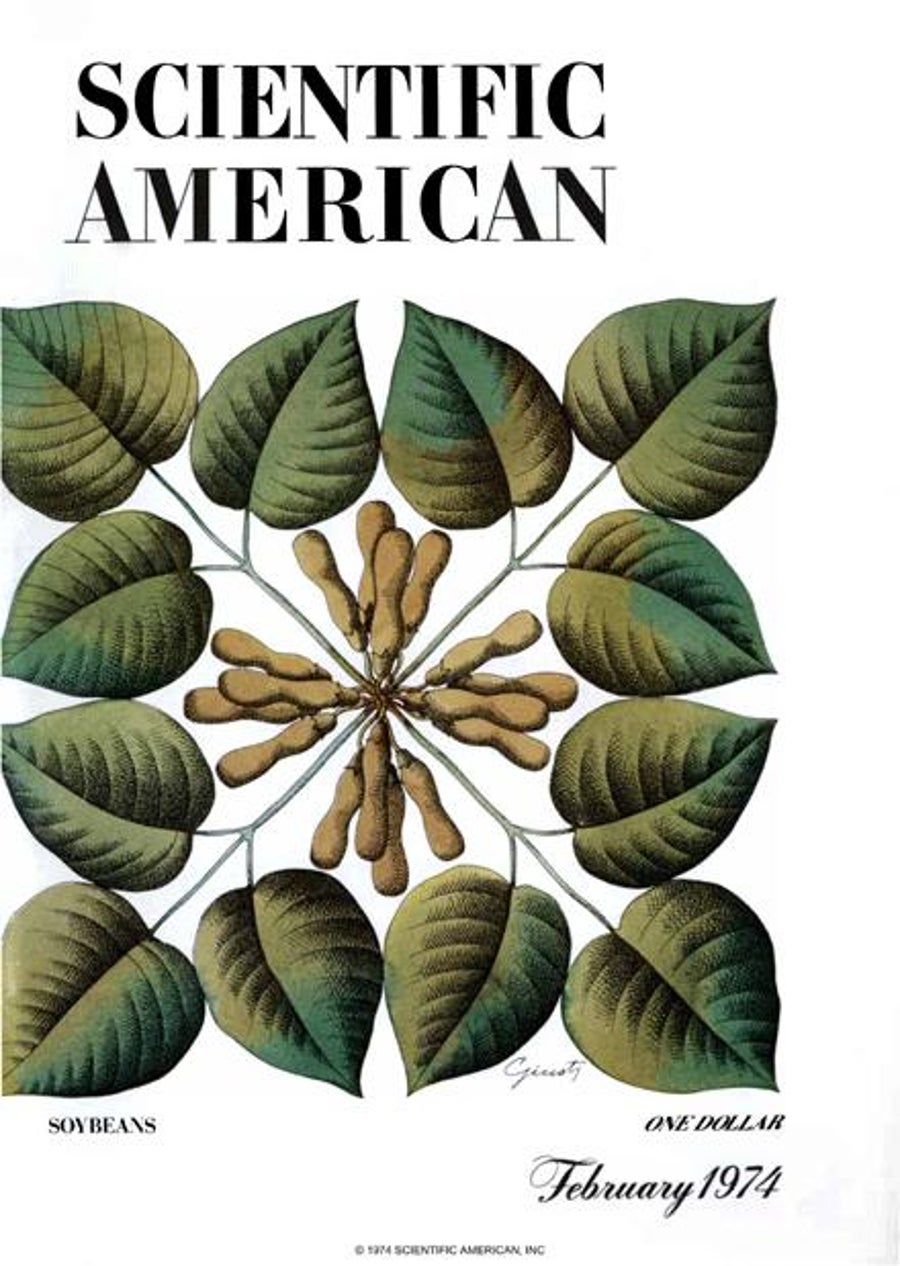 Scientific American Volume 230, Issue 2 | Scientific American
