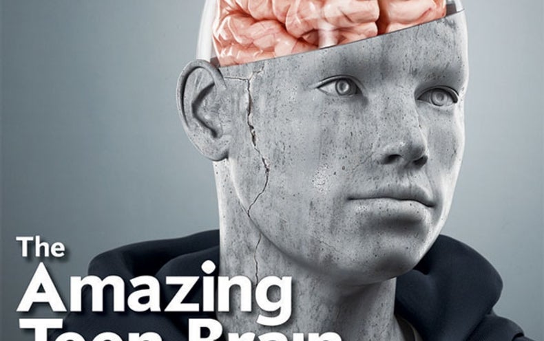 Readers Respond to "The Amazing Teen Brain" - Scientific American