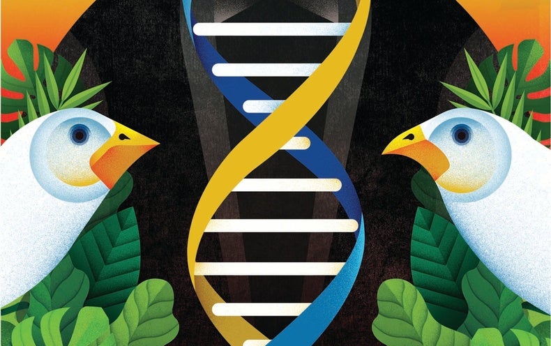 Darwin's Ideas on Evolution Drive a Radical New Approach to Cancer Drug ...