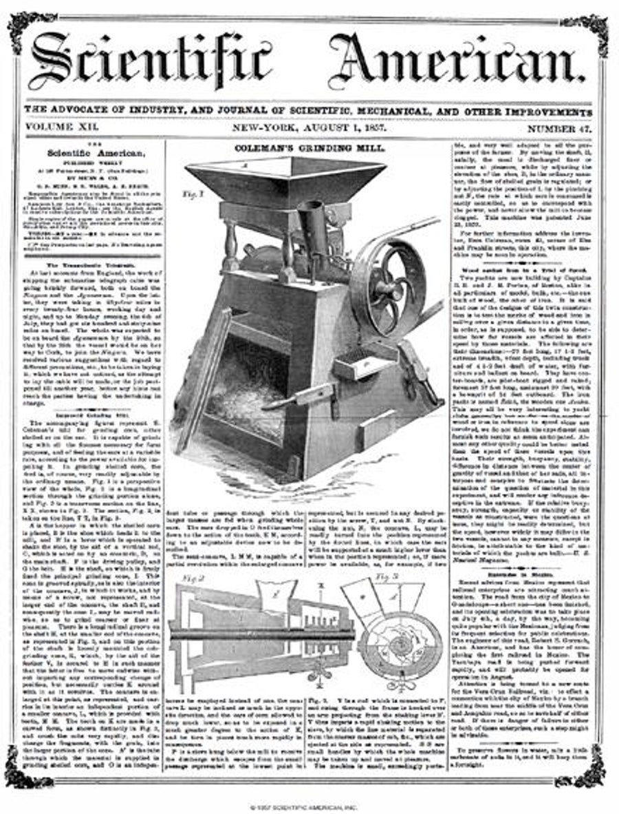 Source of Fat | Scientific American