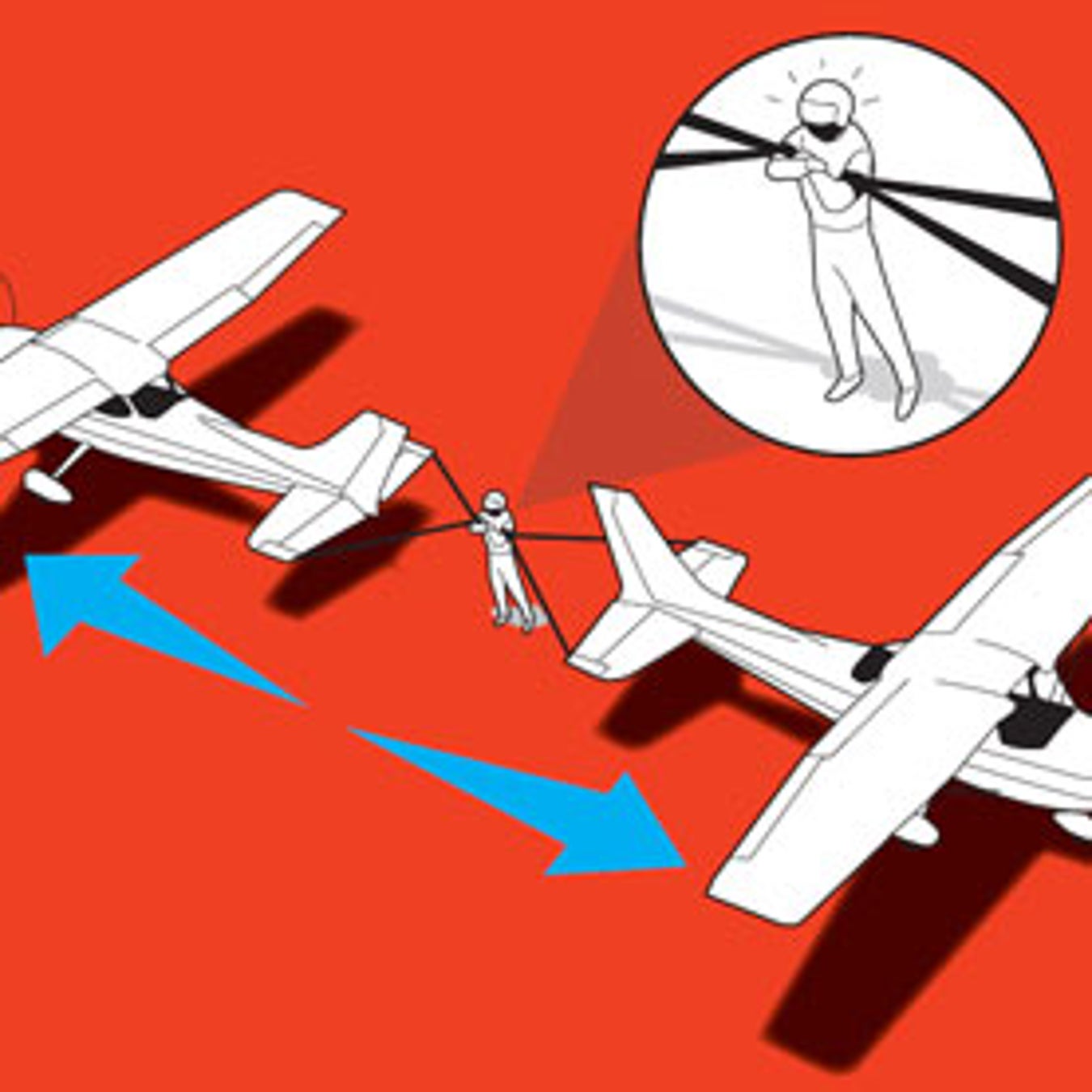 No Brain, No Pain | Scientific American
