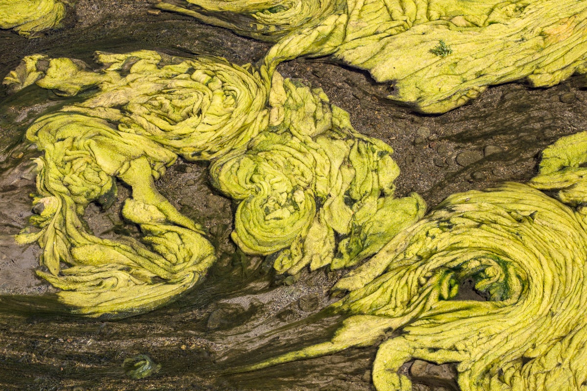 Data Show Shifting Colors of U.S. Rivers | Scientific American