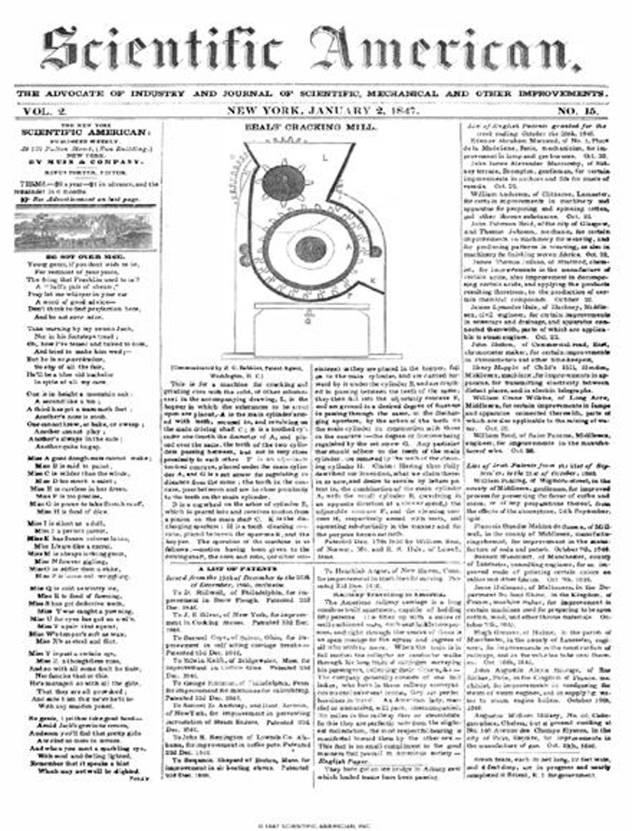 Inverted arch Suspension Bridge | Scientific American